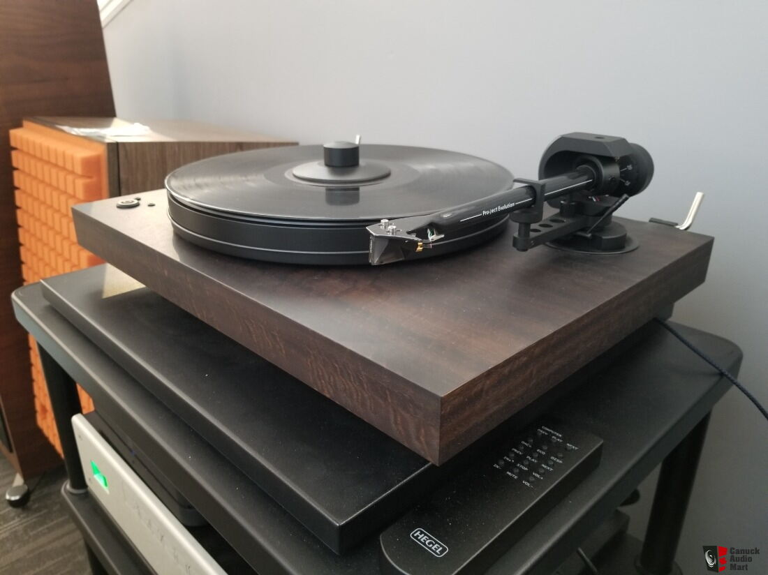 Project 2Xperience Classic SB - Eucalyptus Wood - 2M Silver Dealer Ad ...