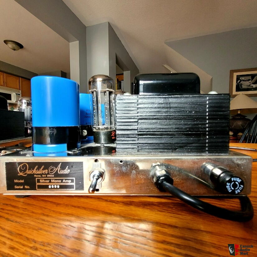 Quicksilver Silver Mono blocks Photo #3461364 - Canuck Audio Mart