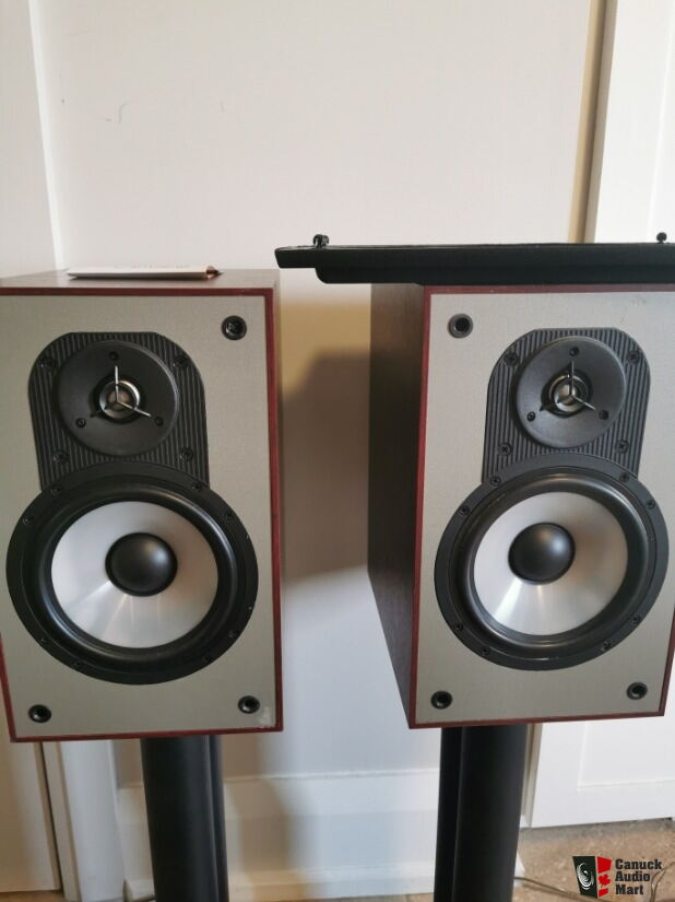 Speakers - Pair of Paradigm Mini Monitor v2 Photo #3463807 - Canuck ...