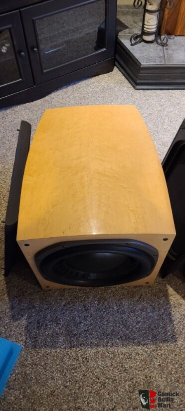 Paradigm Signature Servo 15 inch Sub Photo #3469978 - UK Audio Mart