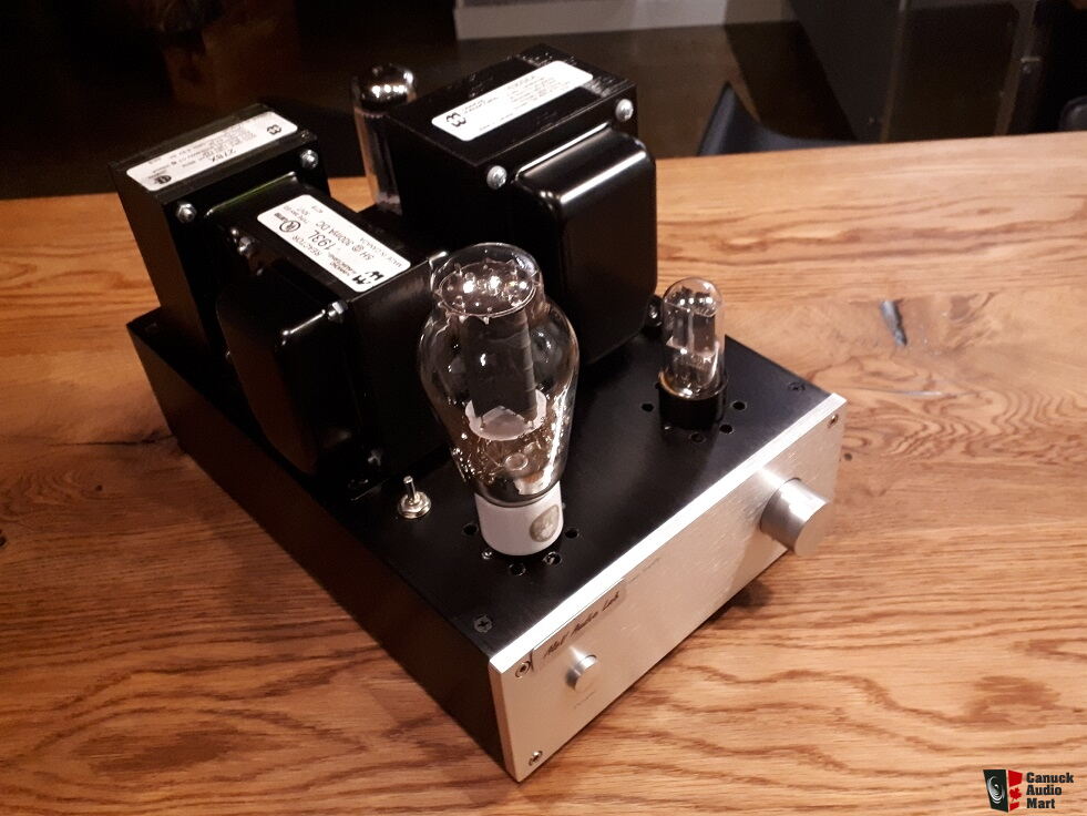 A pair of SET monoblocks (300B tubes) Photo #3470640 - US Audio Mart