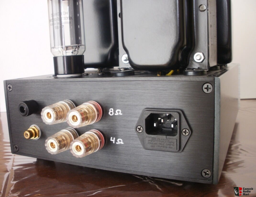 A pair of SET monoblocks (300B tubes) Photo #3470640 - US Audio Mart