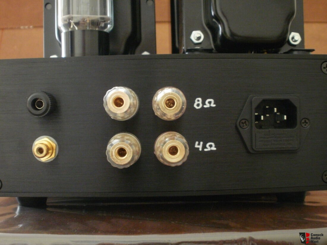 A pair of SET monoblocks (300B tubes) Photo #3470640 - US Audio Mart