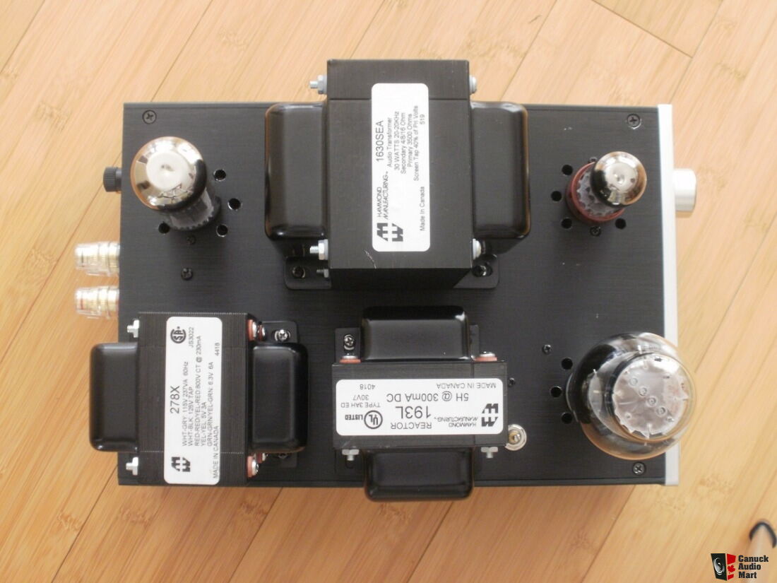 A pair of SET monoblocks (300B tubes) Photo #3470640 - US Audio Mart