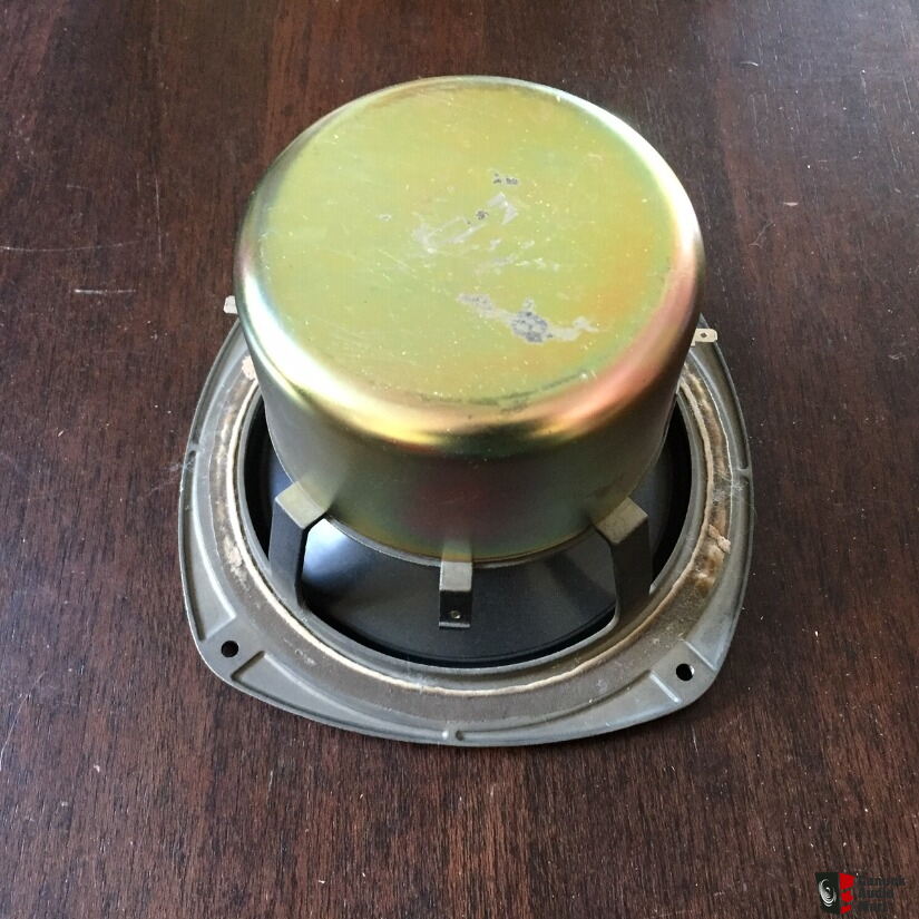 Single Tannoy 8" Dual Concentric Driver from Ellipse 8 -Driver Kit Type ...