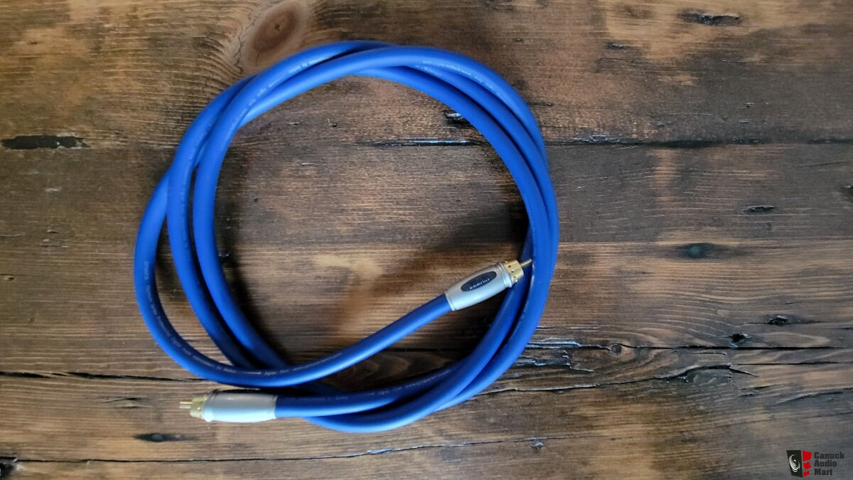 Belkin SYNAPSE Platinum 1.5m coax digital cable (the "Blue Belkin ...