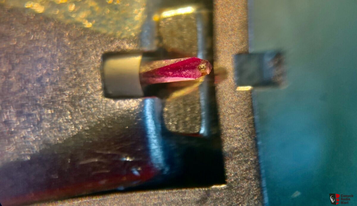 Dynavector 23R cartridge Photo #3498559 - Canuck Audio Mart