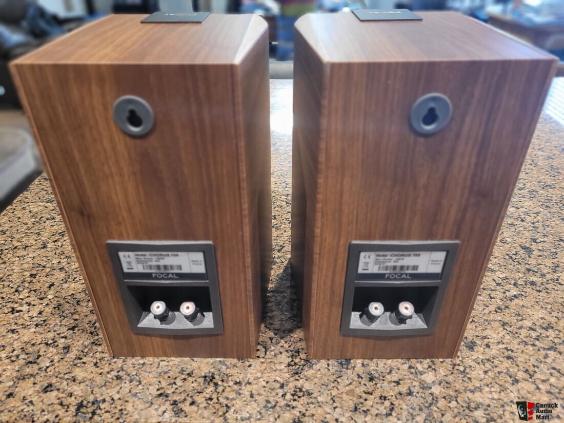 Focal - Chorus 705 in Walnut Photo #3506802 - Canuck Audio Mart