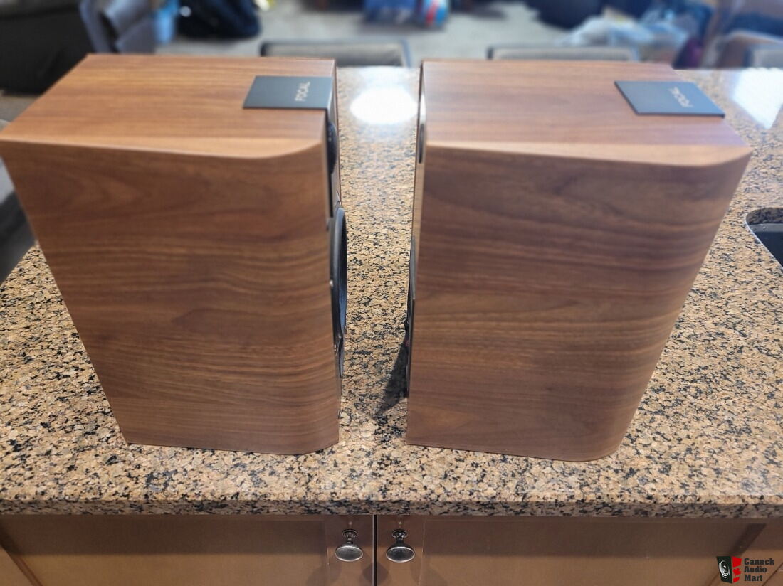 Focal - Chorus 705 in Walnut Photo #3506801 - Canuck Audio Mart