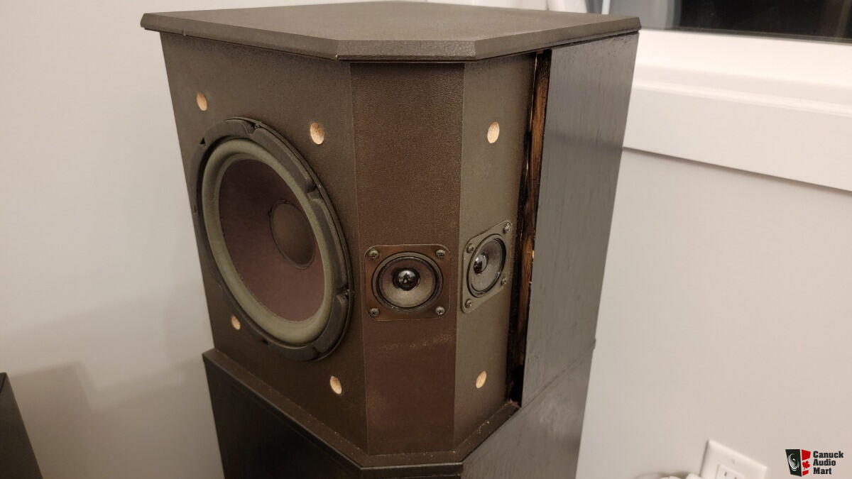 Bose 10.2 Series II Series 2 Floor Standing Tower - Pair Photo #3509248 ...