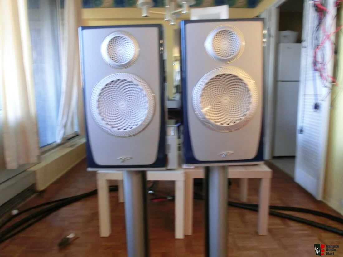 Paradigm Persona B in Metallic Blue Photo #3519781 - US Audio Mart