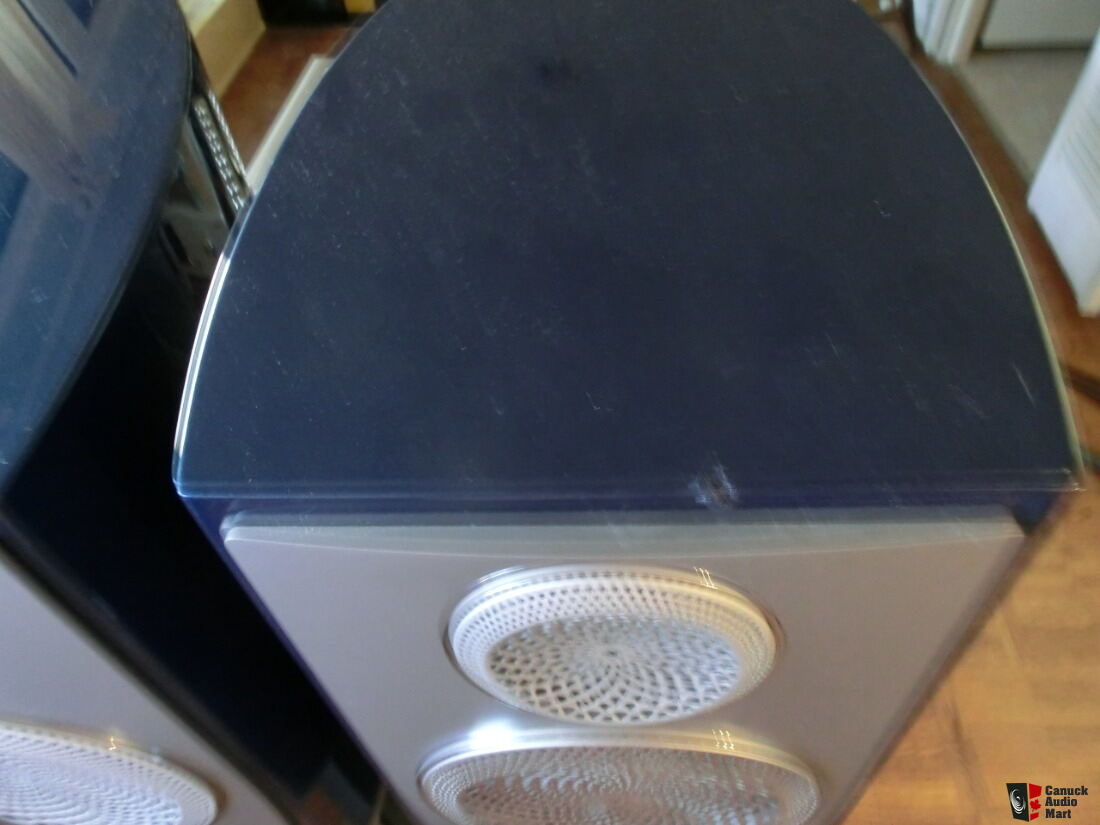 Paradigm Persona B in Metallic Blue Photo #3519780 - US Audio Mart