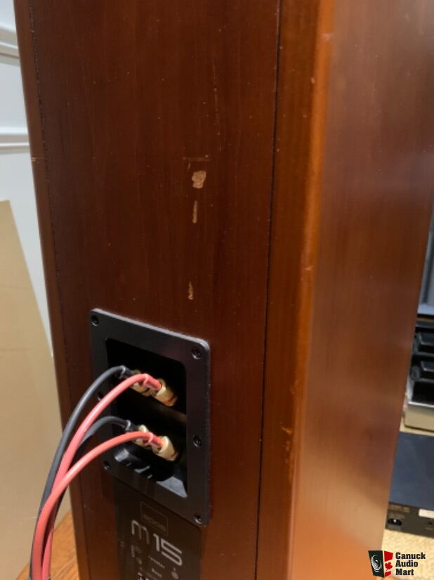 Epos M15 Photo #3522992 - Canuck Audio Mart