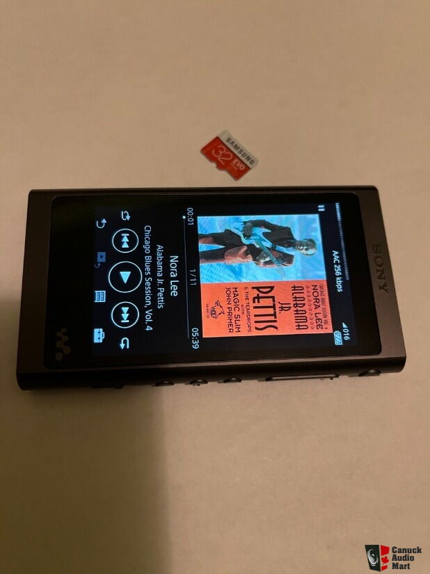 Sony NW-A55 Walkman A Series, Grayish Black Hi-Res DAP with Samsung ...