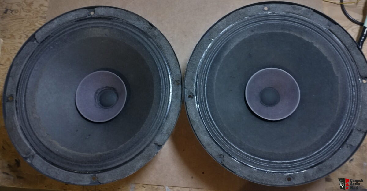 Vintage Phillips 12" Full Range Drivers Photo #3524723 - US Audio Mart
