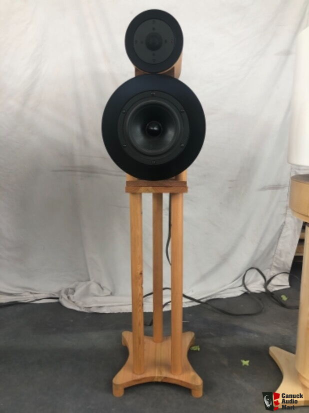 Custom speakers Photo #3535039 - UK Audio Mart