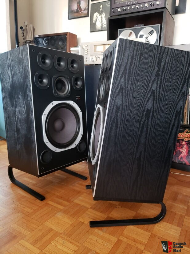 Scandyna speakers Photo #3547054 - Canuck Audio Mart
