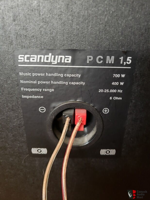 Scandyna speakers Photo #3547054 - Canuck Audio Mart