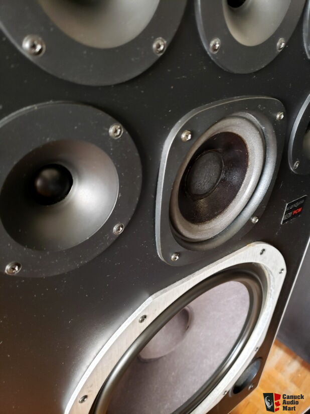 Scandyna speakers Photo #3547058 - Canuck Audio Mart
