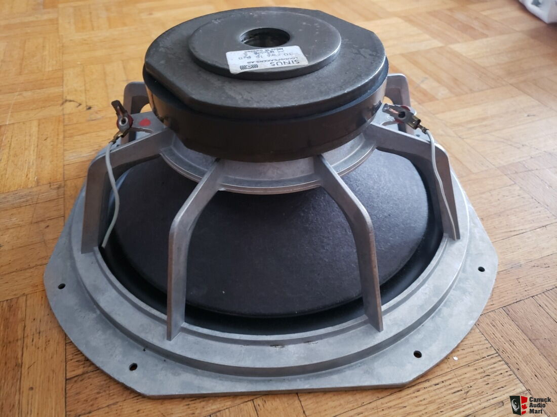Scandyna speakers Photo #3547049 - Canuck Audio Mart