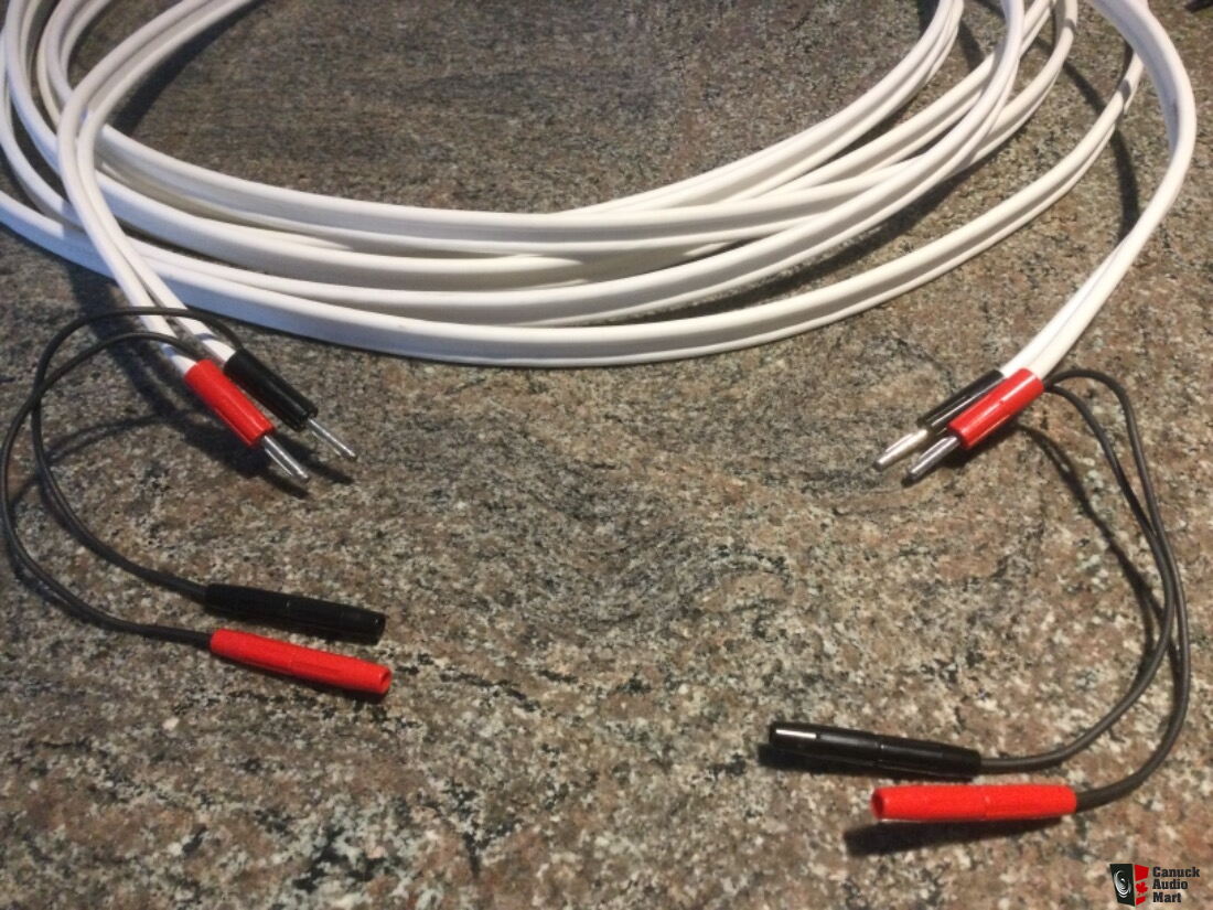 Naim Audio Speaker cable, 17' pair with naim connector (bi-linked ...