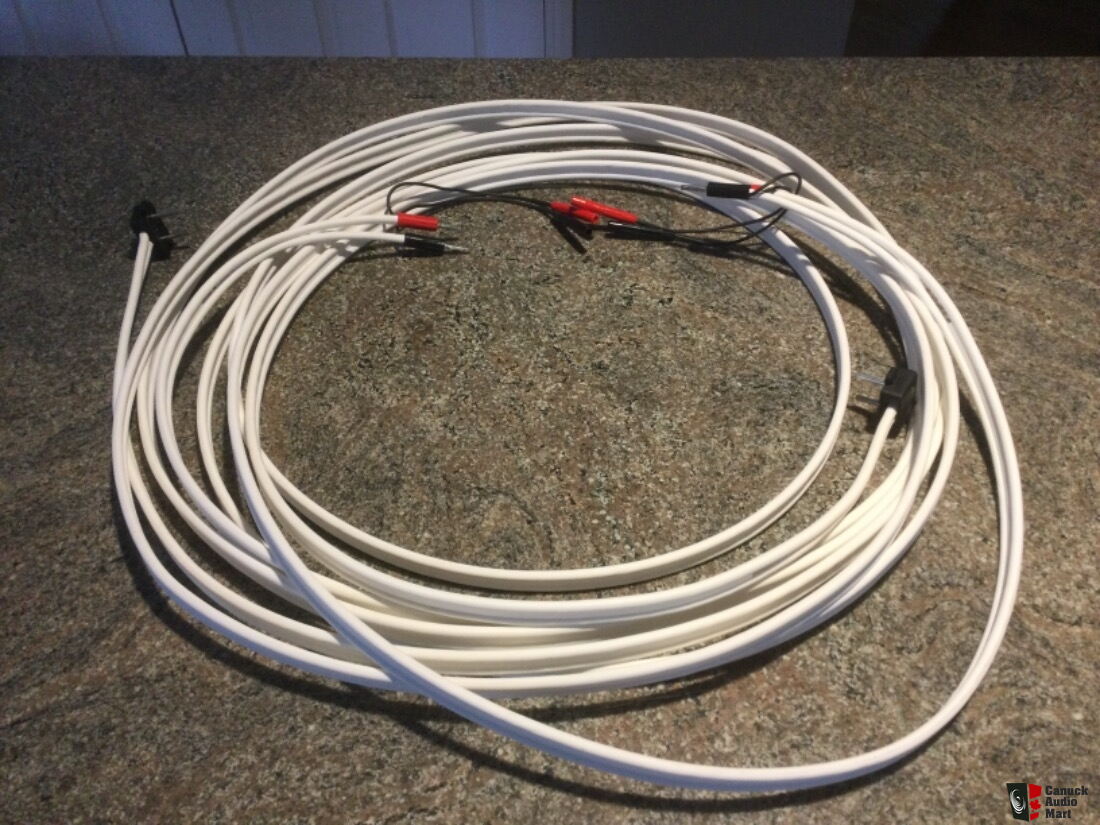 Naim Audio Speaker cable, 17' pair with naim connector (bi-linked ...
