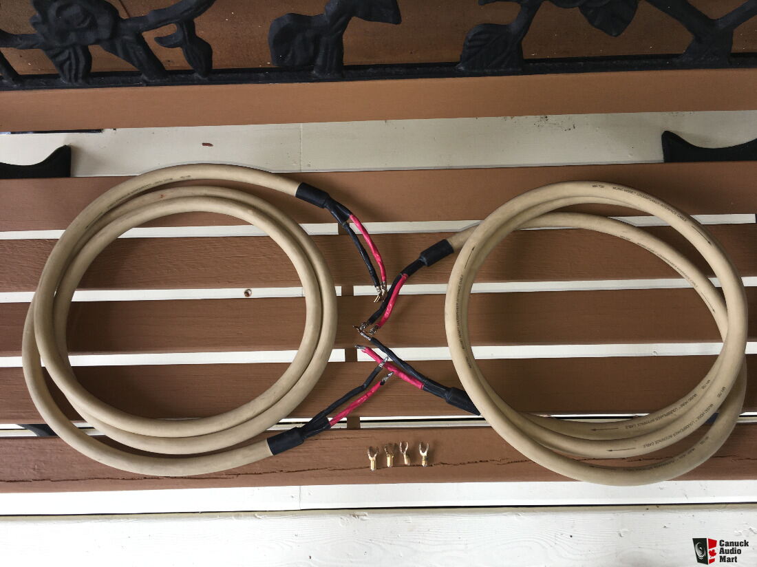 MIT MH750 - Music Hose Speaker Cables Photo #3557312 - Canuck Audio Mart