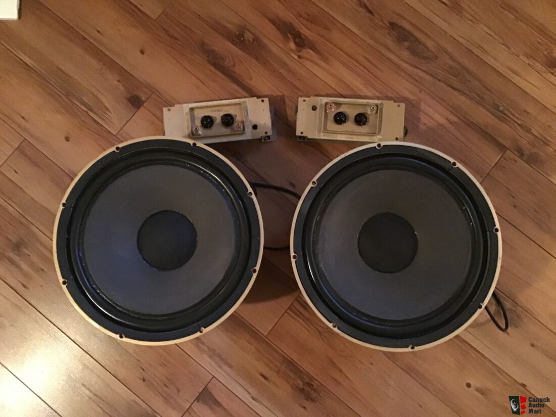 Tannoy 15" Blue Royal and crossover For Sale - Canuck Audio Mart