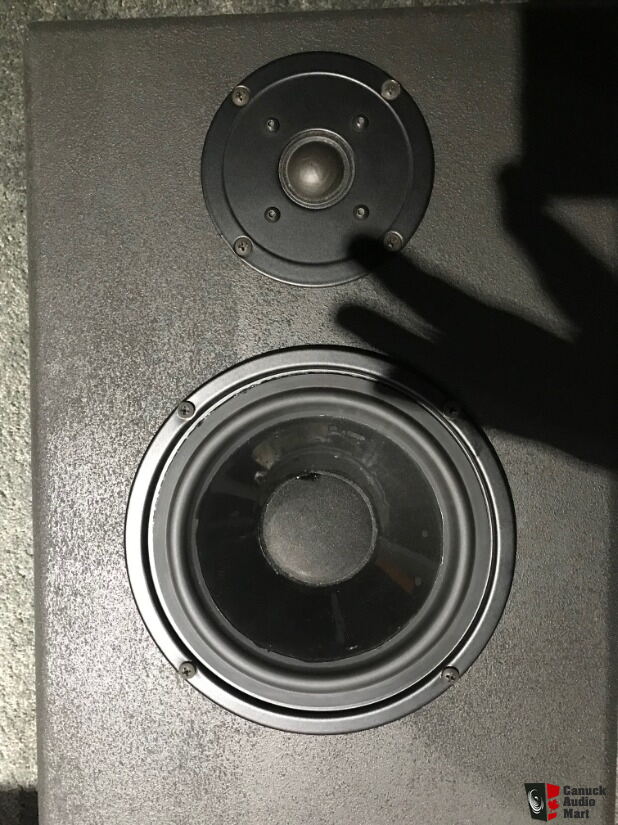 Peerless 2 Way Speakers - Floor Standing and Wall Boxes Photo #3573666 ...