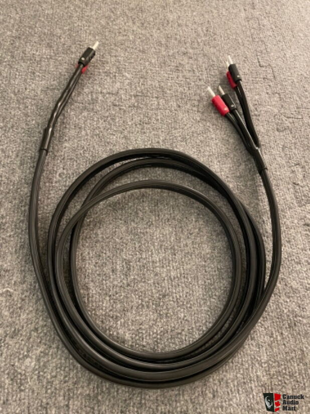 Audioquest Rocket 11 Bi-Wire Banana Silver 9 Feet Pairs (NEW) Photo ...