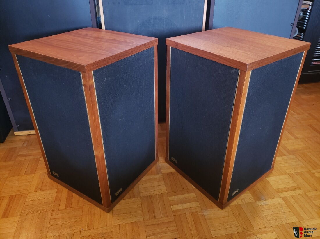 Epicure EPI 250 Photo #3584713 - Canuck Audio Mart