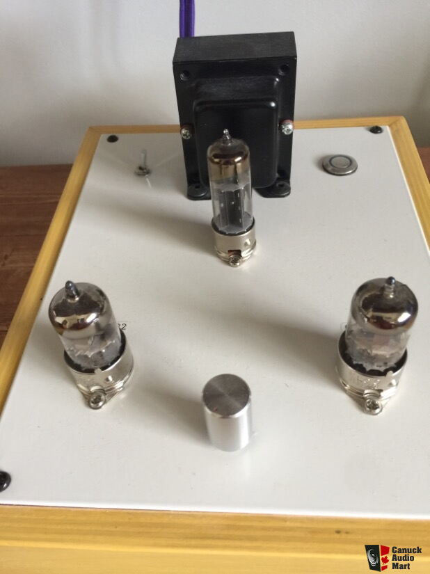 Custom 6922 buffer tube preamp with 6x4 rectifier Photo #3585303 - UK ...
