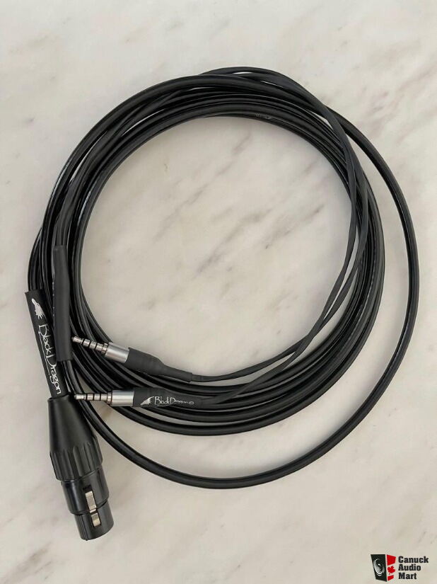 Moon Audio Premium Black Dragon cable 10FT for RAAL SR1A For Sale ...