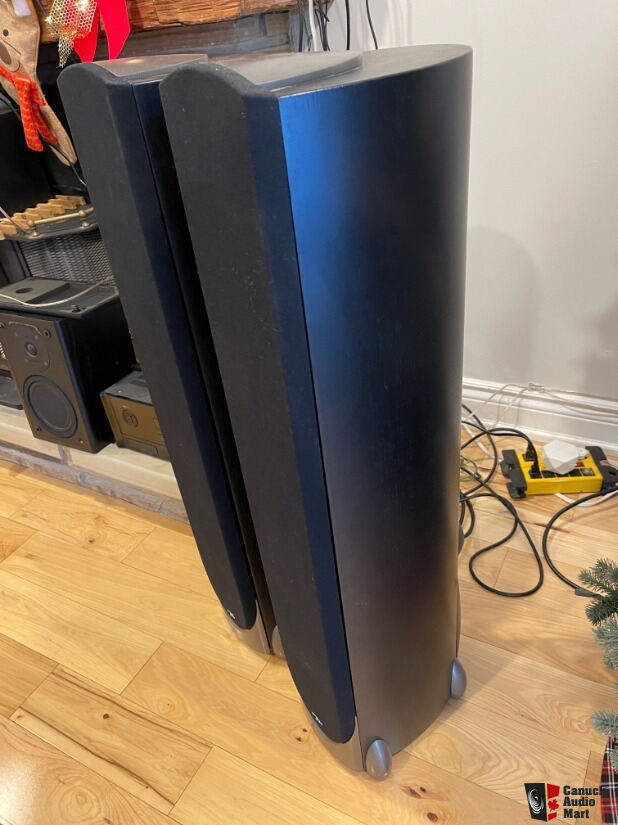 Paradigm Reference Studio 60 v5 Photo #3603322 - US Audio Mart