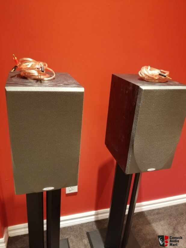 Legendary Paradigm Titan v4 speakers Mint Photo #3603896 - UK Audio Mart