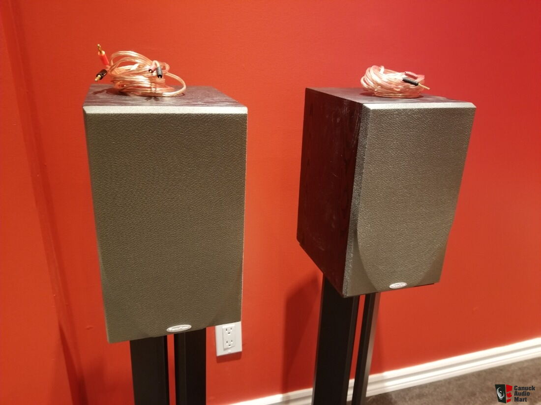 Legendary Paradigm Titan v4 speakers Mint Photo #3603899 - Canuck Audio ...