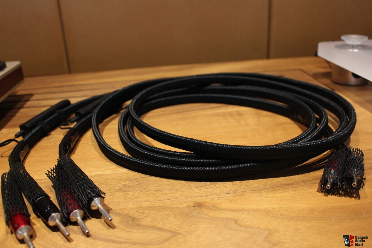 AudioQuest , Rocket 88 , 8ft Photo #3606162 - UK Audio Mart