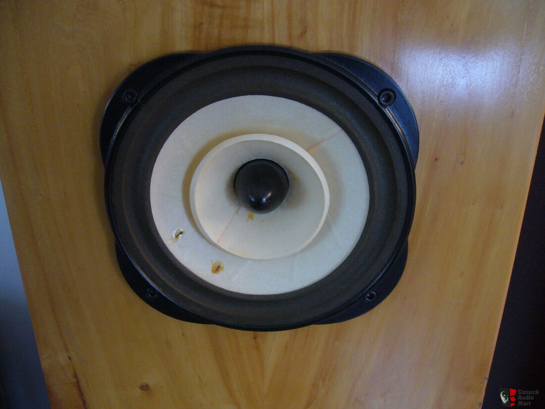 Lowther DX3 hosed in Rear load horn cabinet with manhorn rear load horn ...