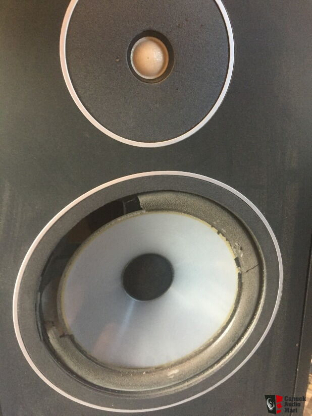DB Plus 100 MK2 Photo #3616674 - US Audio Mart