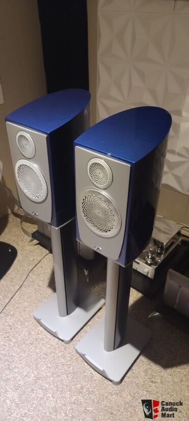 Paradigm Persona B Photo #3620361 - US Audio Mart