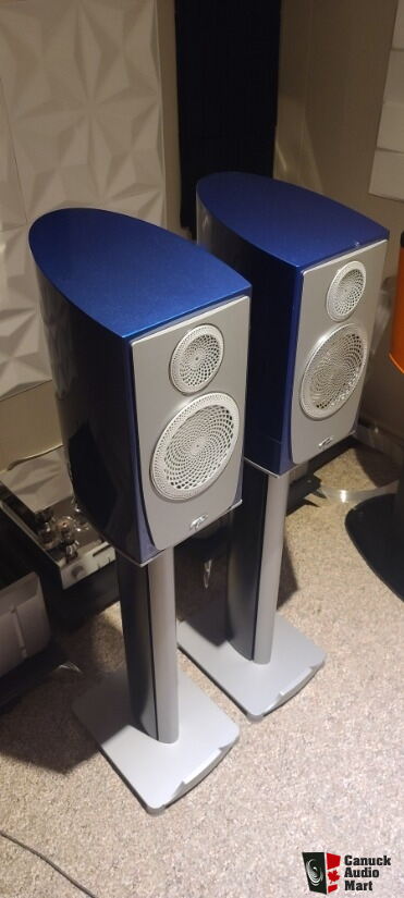 Paradigm Persona B Photo #3620361 - US Audio Mart
