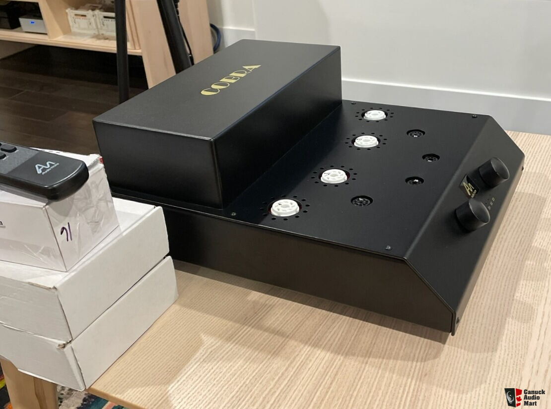 Audio Note Cobra Photo #3627531 - Canuck Audio Mart
