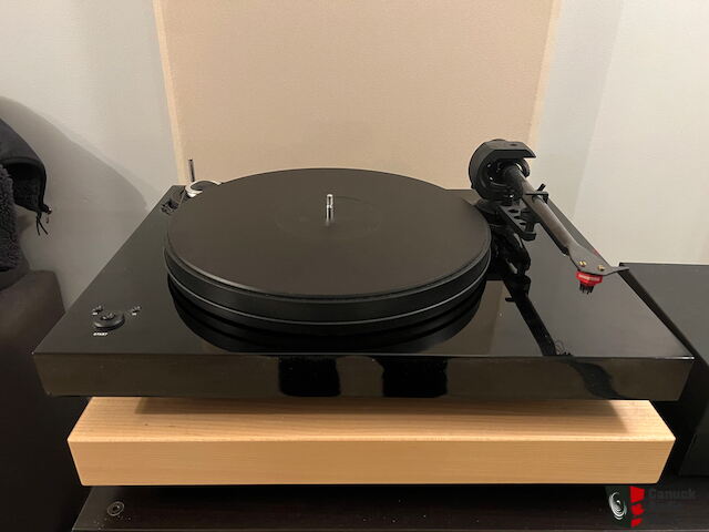 Project 2xperience Classic SB DC w/ Soundsmith Otello - Awesome! For ...