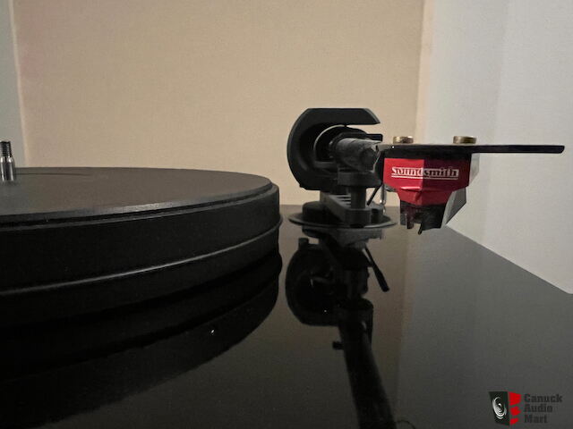 Project 2xperience Classic SB DC w/ Soundsmith Otello - Awesome! Photo ...