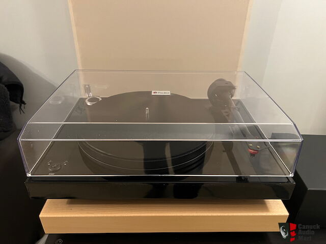 Project 2xperience Classic SB DC w/ Soundsmith Otello - Awesome! Photo ...