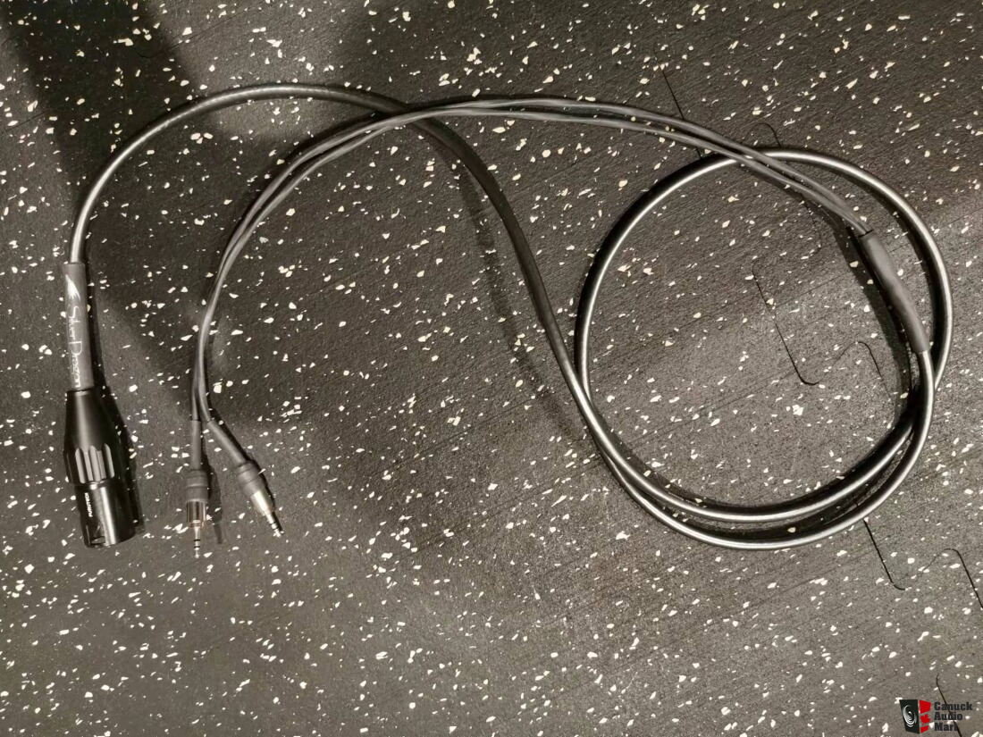 Moon Audio Silver Dragon Headphone Cable HiFiMan mini 2.5mm to XLR For ...