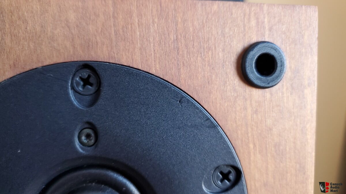 ProAc Tablette Reference 8 Photo #3635690 - Canuck Audio Mart