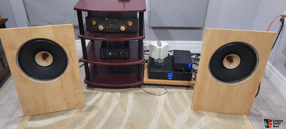 Lii Audio F15 open baffle speakers Photo #3636840 - UK Audio Mart