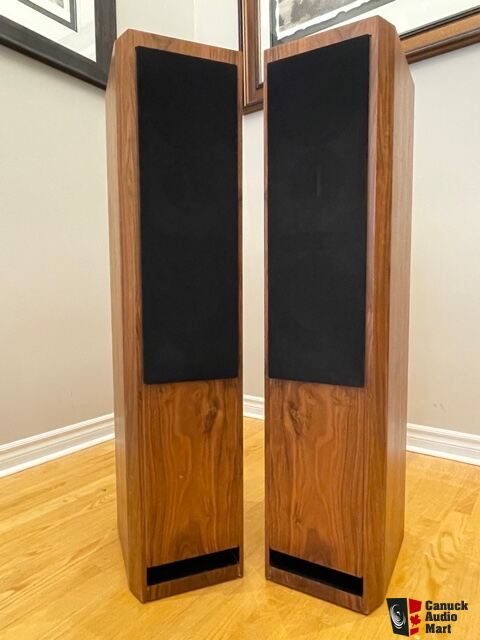 Atlantis Acoustique Esterel Photo #3639001 - US Audio Mart