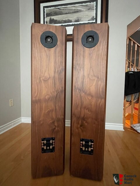 Atlantis Acoustique Esterel Photo #3639003 - US Audio Mart